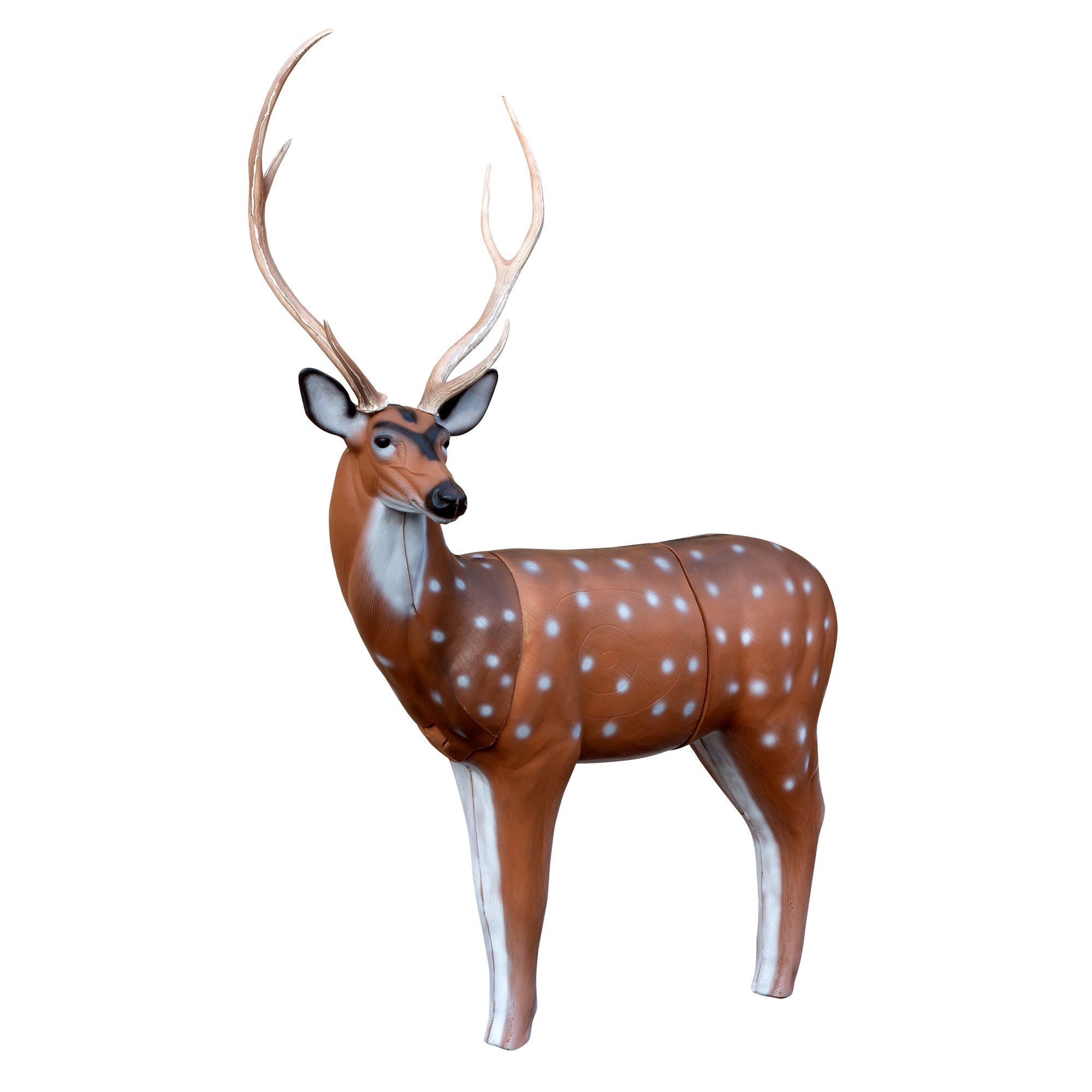 Competition 3D Targets Event Pricing – BIGshot Archery
