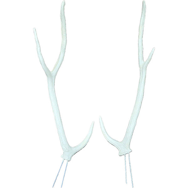 X-Ray Series Axis Deer Replacement Antlers – BIGshot Archery