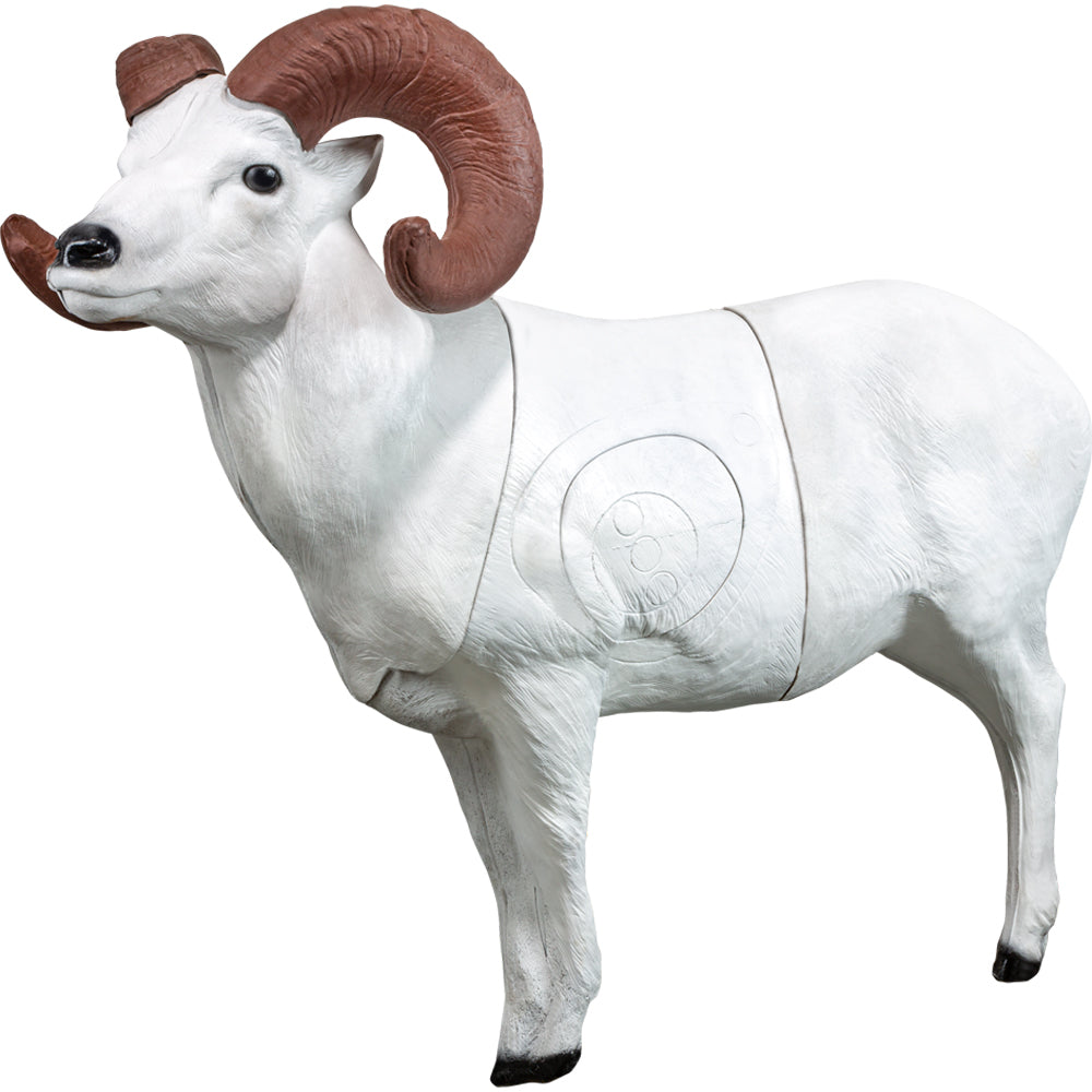 Real Wild 3D Dall Sheep – BIGshot Archery