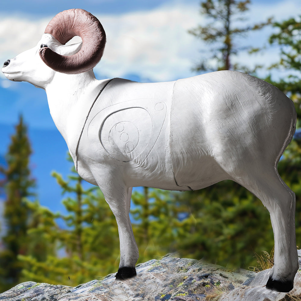 Real Wild 3D Dall Sheep – BIGshot Archery
