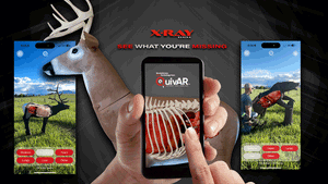 Archery Targets and Simulators – BIGshot Archery