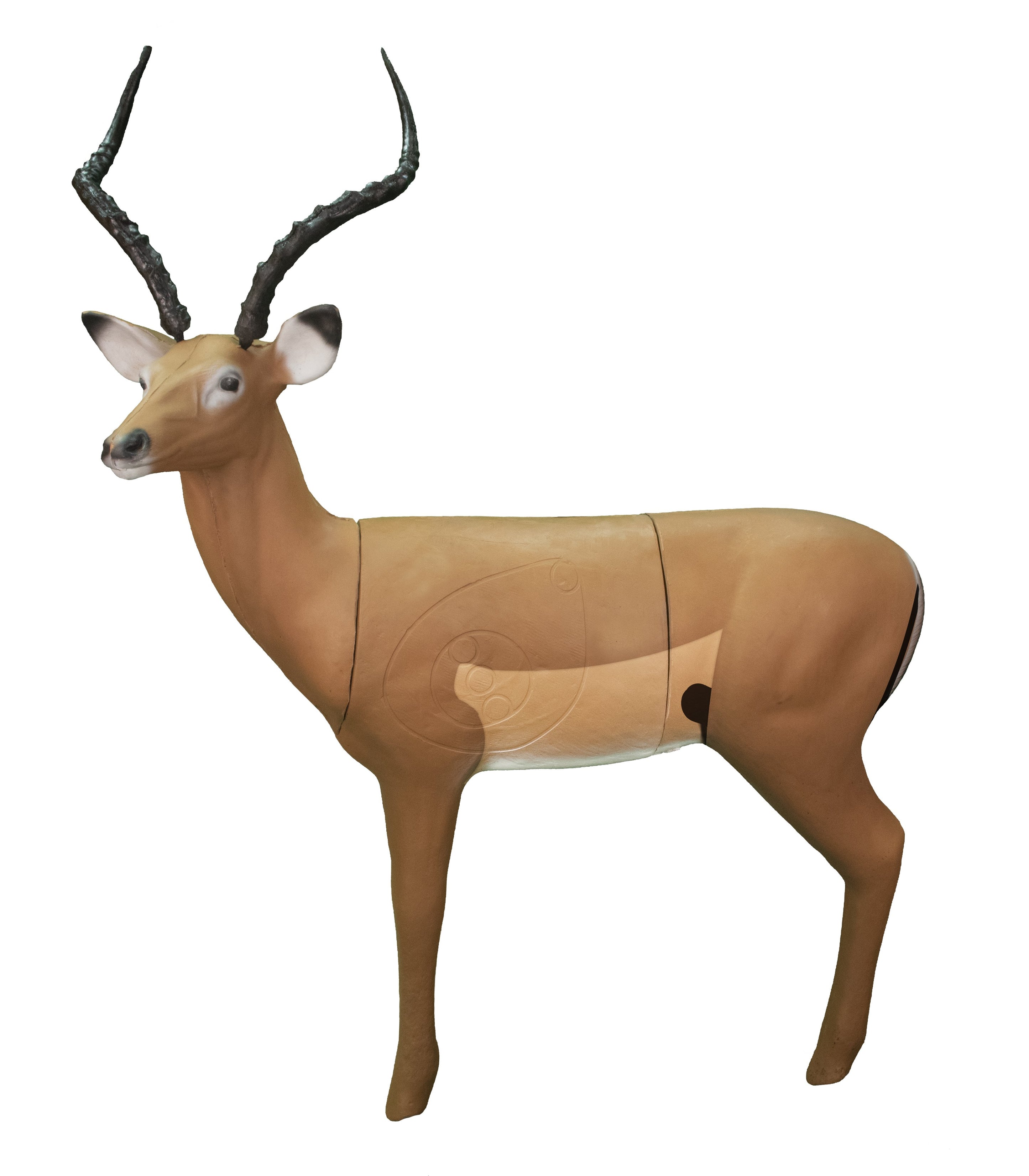 Real Wild 3D African Impala Archery Target – BIGshot Archery