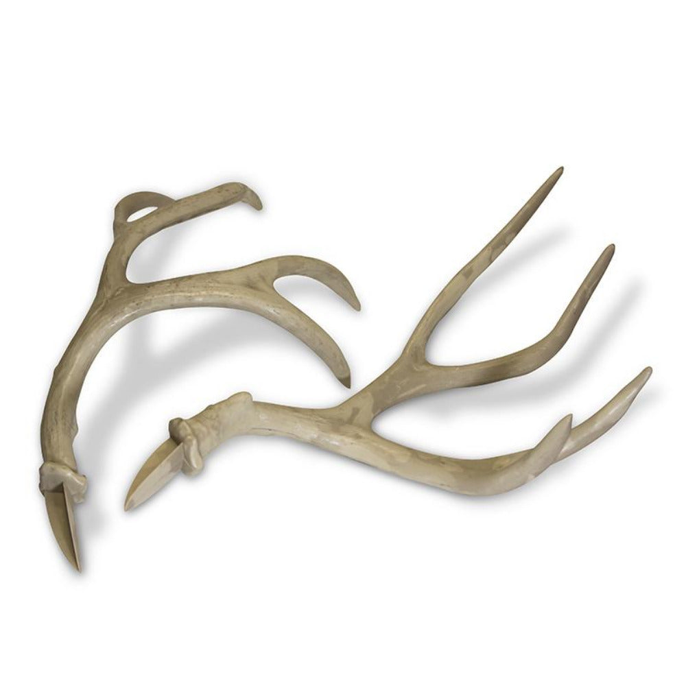 Mule Deer Antlers – BIGshot Archery